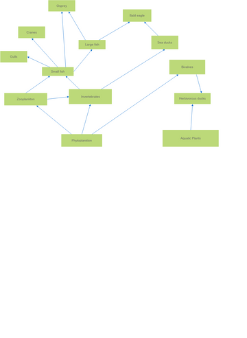 Food Chain Interrelationship Diagram | Visual Paradigm User-Contributed ...